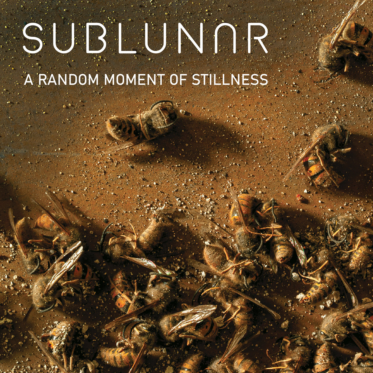 Polish rock unit Sublunar deliver on new album "A Random Moment of ...